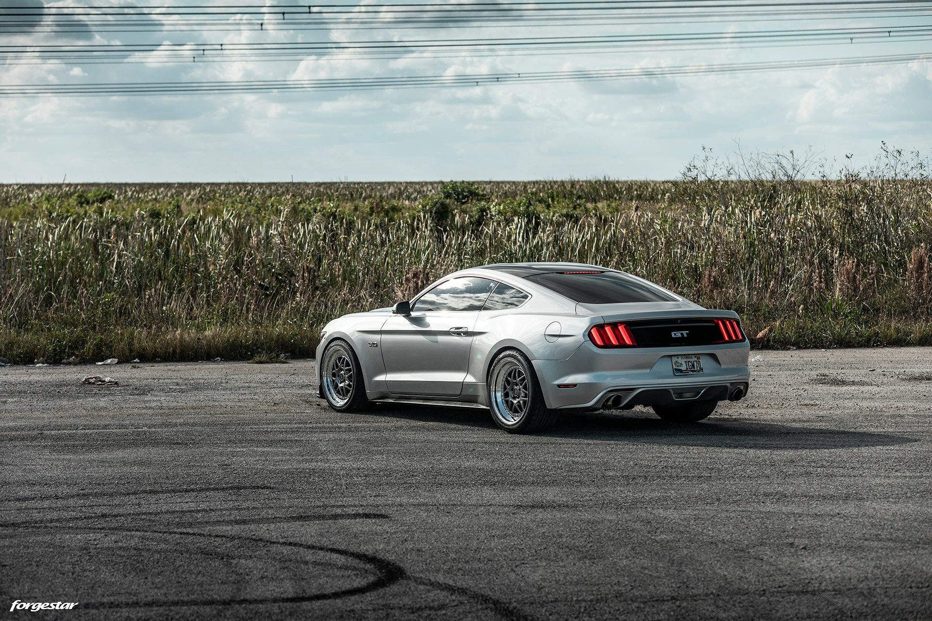 Silver Ford Mustang GT S550 - Forgestar M14 Wheels in… | Forgestar